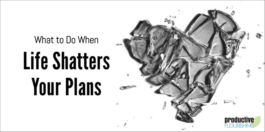 What to Do When Life Shatters Your Plans