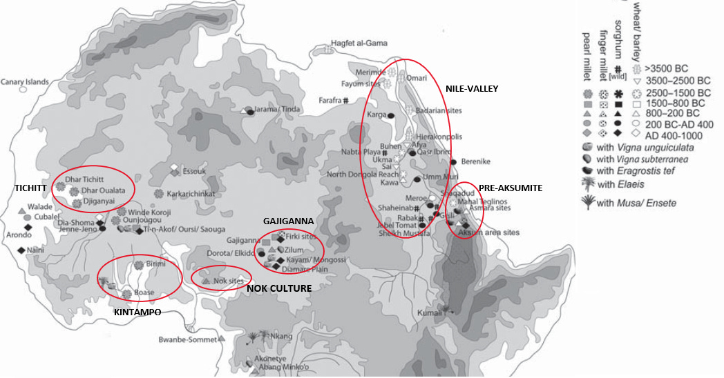 a brief note on the origin of African civilizations