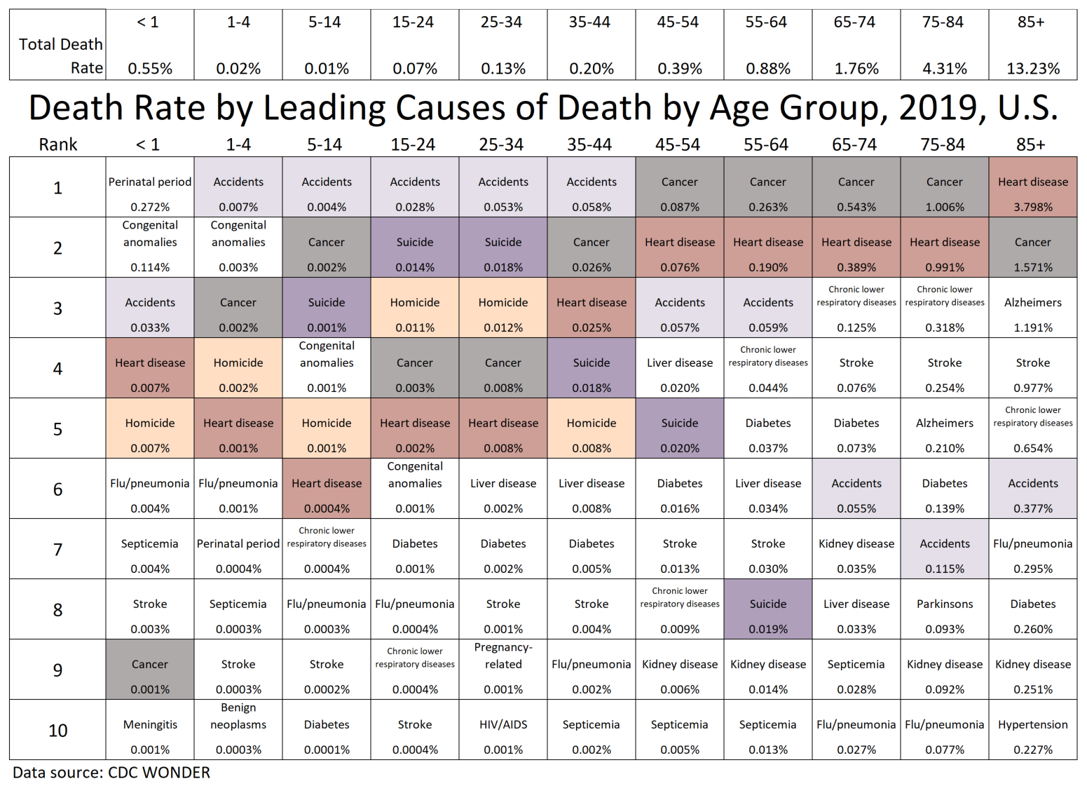 Top Causes of Death by Age Group, 2021: Finalized U.S. Stats Top Causes of Death by Age Group, 2021: Finalized U.S. Stats