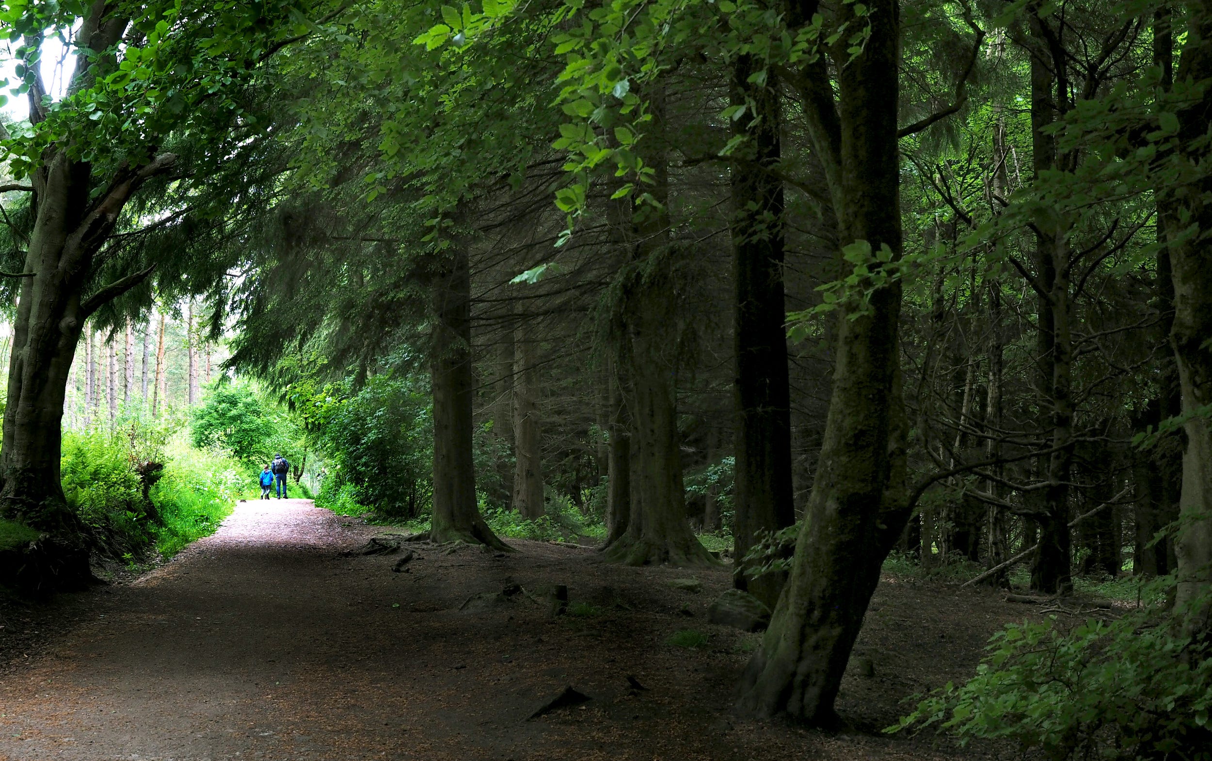 Firestarters - by David Bocking