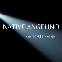 Tom Levine | Substack