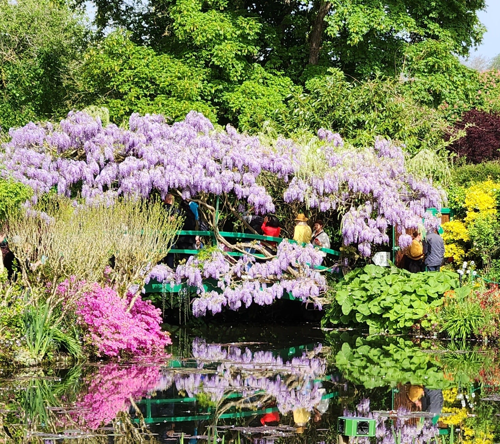 Emma Richardson Cherry in Giverny - by Randy Tibbits