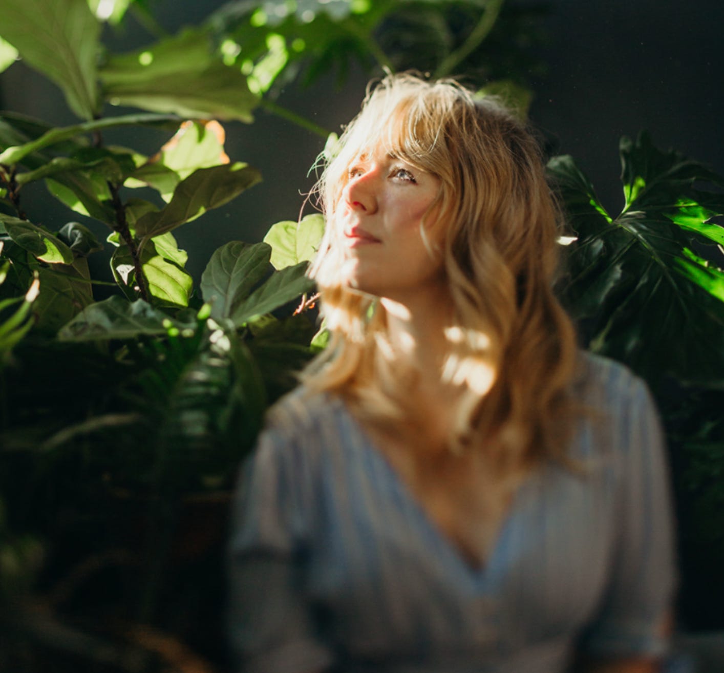 Joy Sullivan | Substack