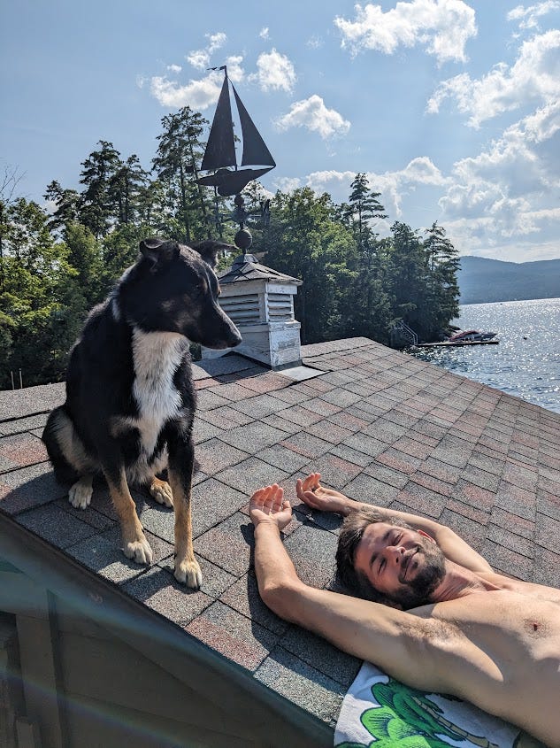 Joy through the observation of dogs.