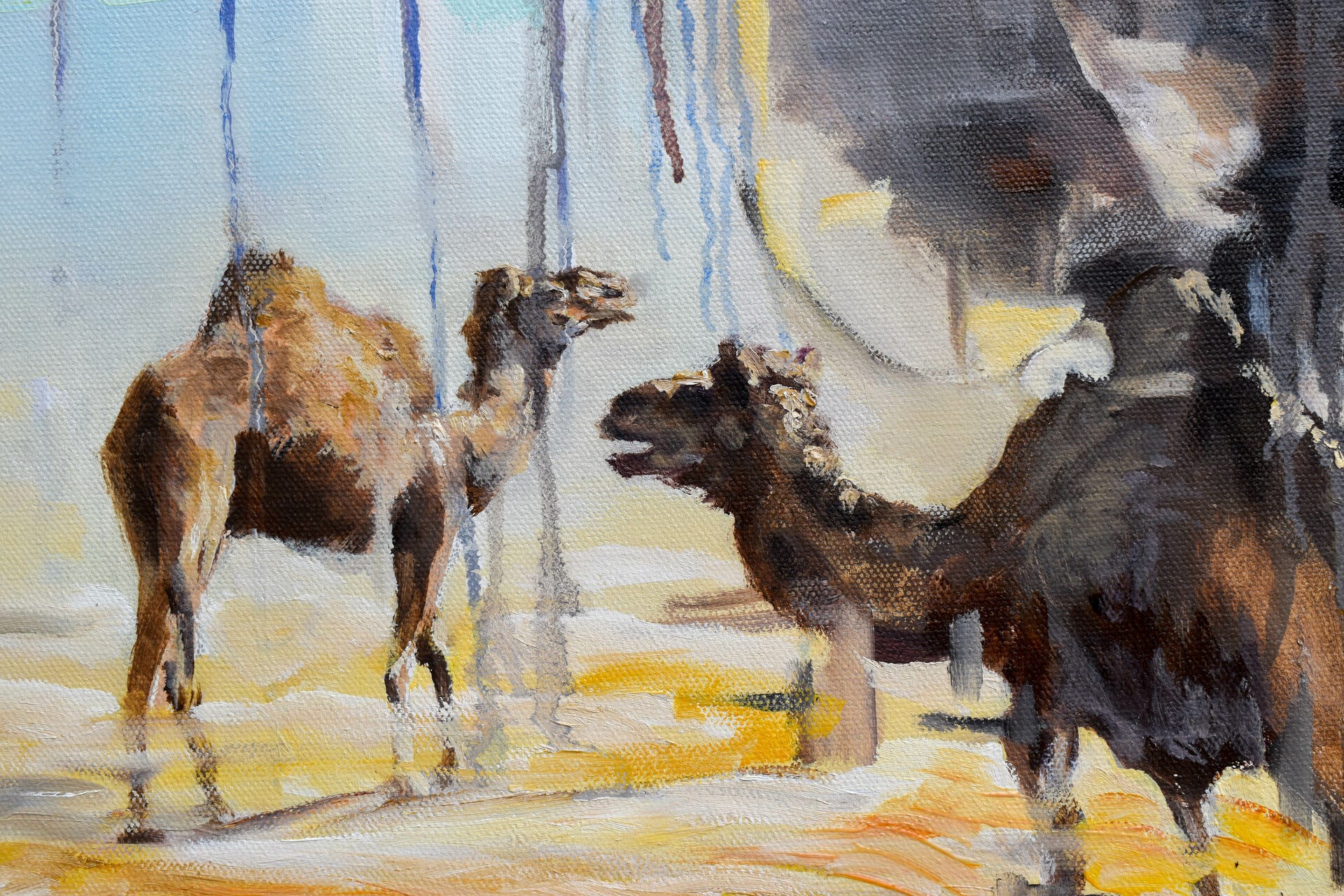 The Camel, the Lion, and the Child - by Mark B Matthews