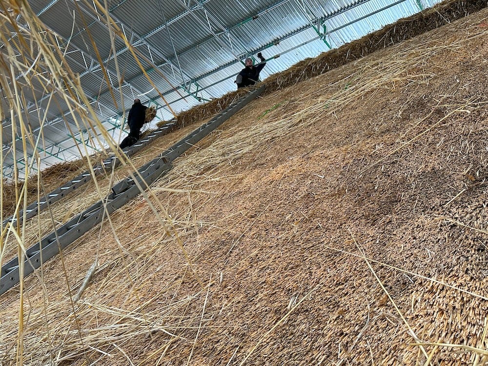 On London's Biggest Thatched Roof - by Matt Brown