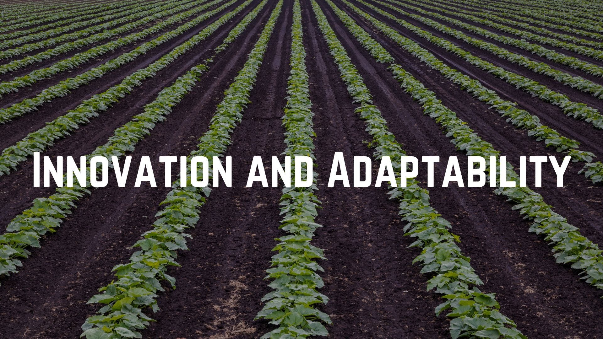 Bursting the Overpopulation Myth - by Tim O'Brien