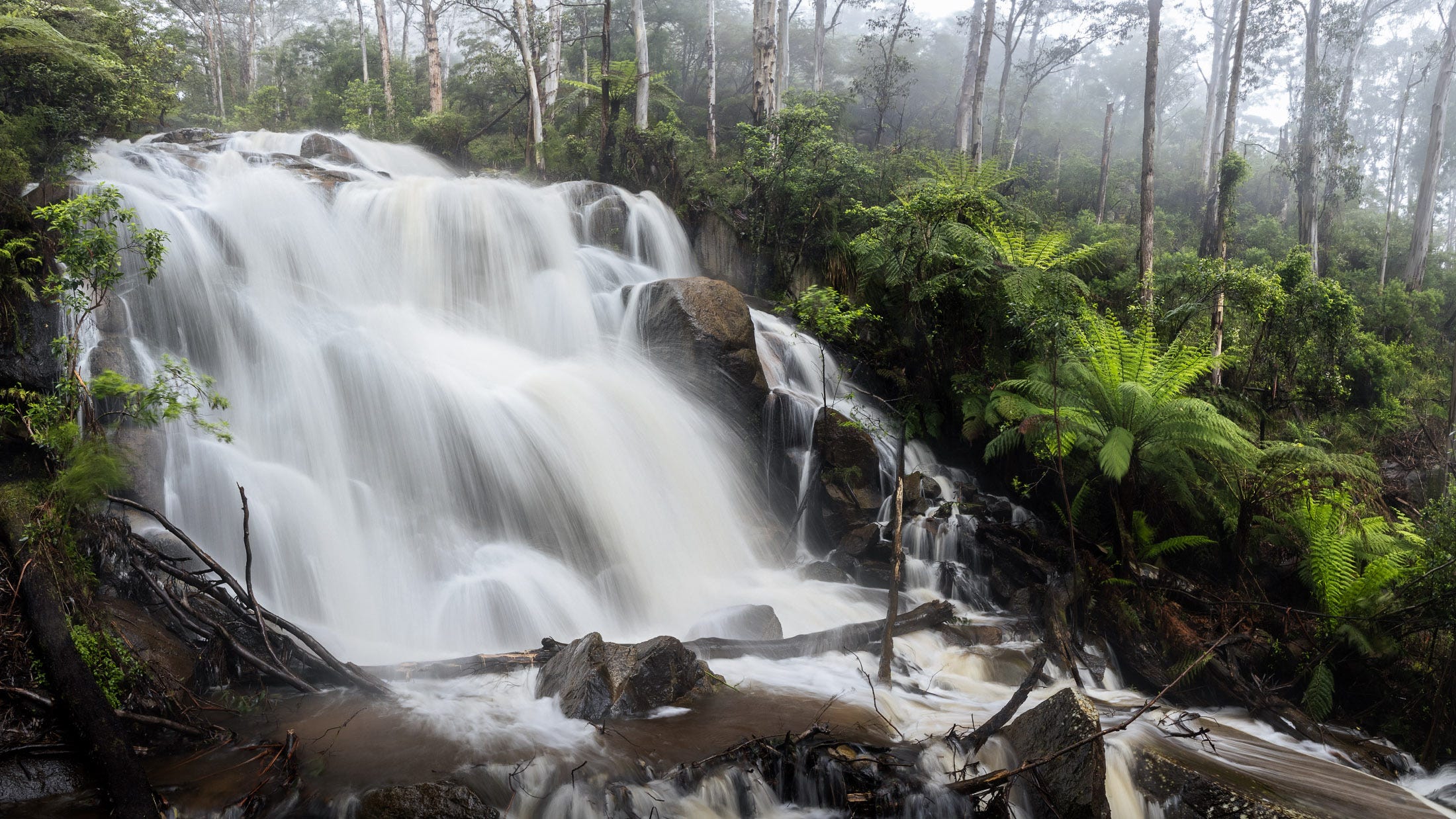 Chasing the light at Toorongo Falls - by James Hider