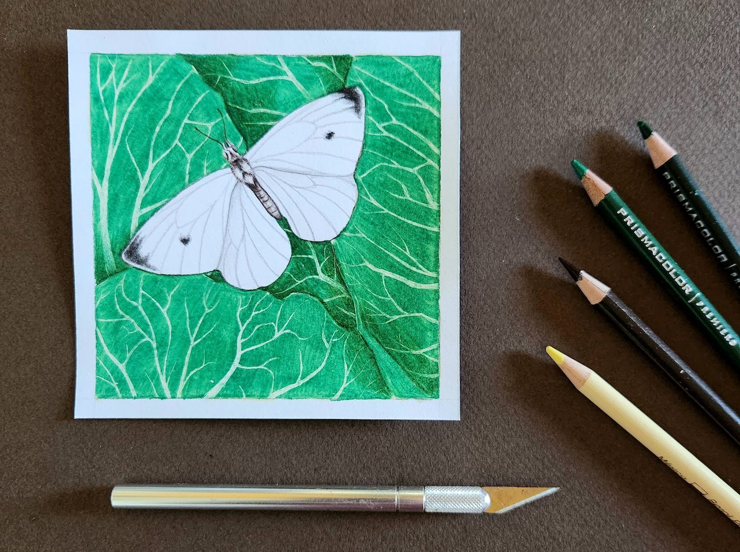 How To Draw A Green Butterfly