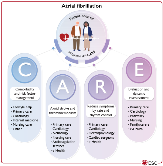 A diretriz de Fibrilação Atrial
