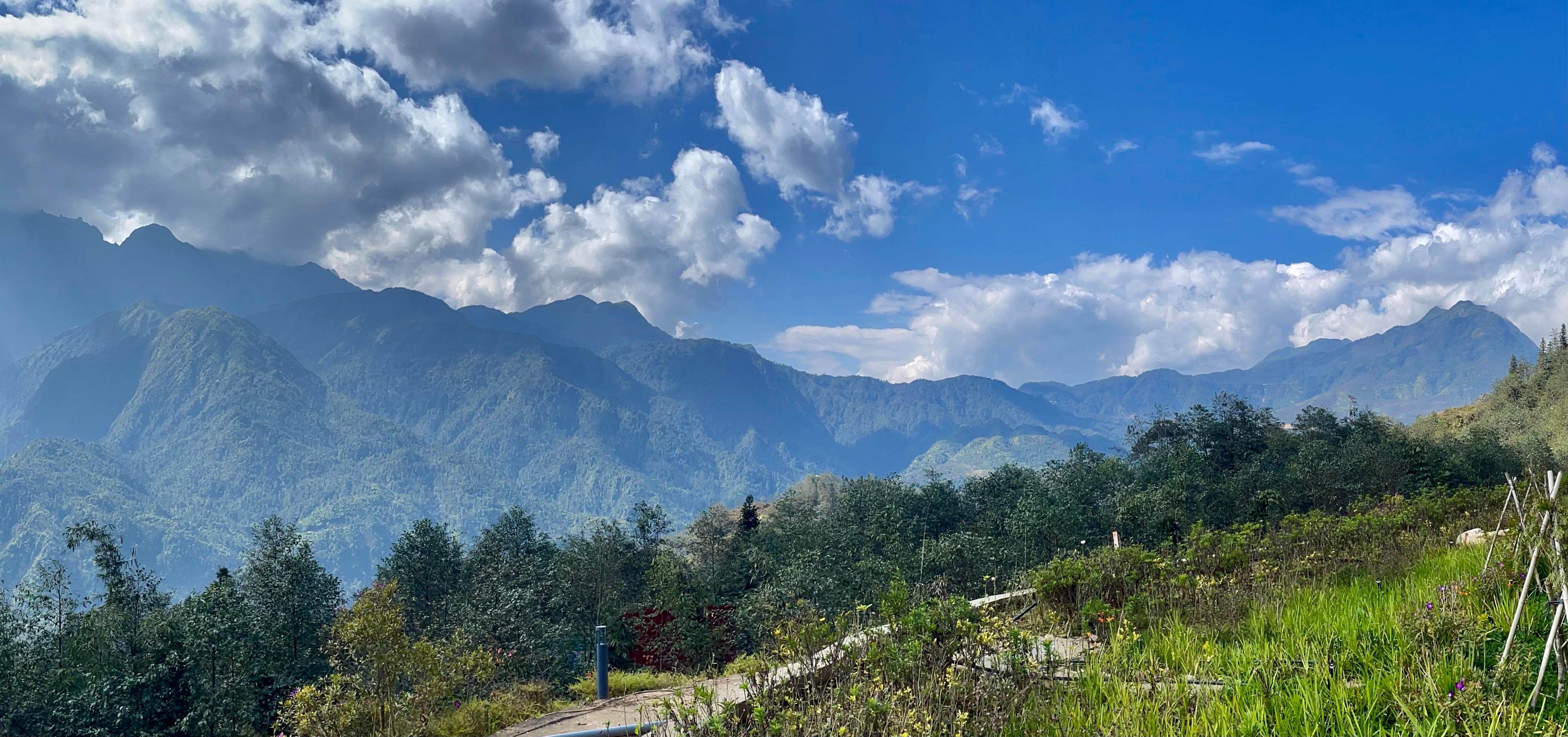 Sapa - by Shane Williamson - Shane’s Substack