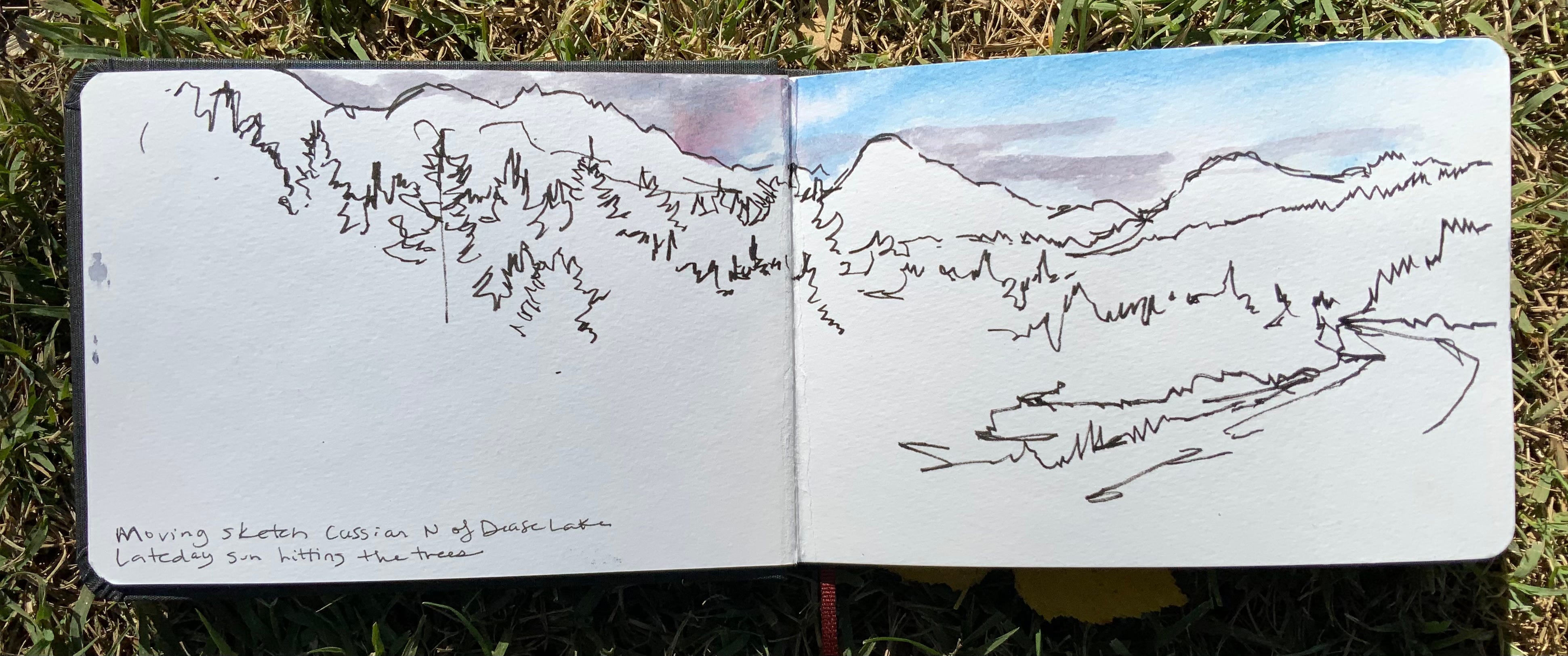 Moving Sketch - by Kristin Link - Weekly Nature Journal