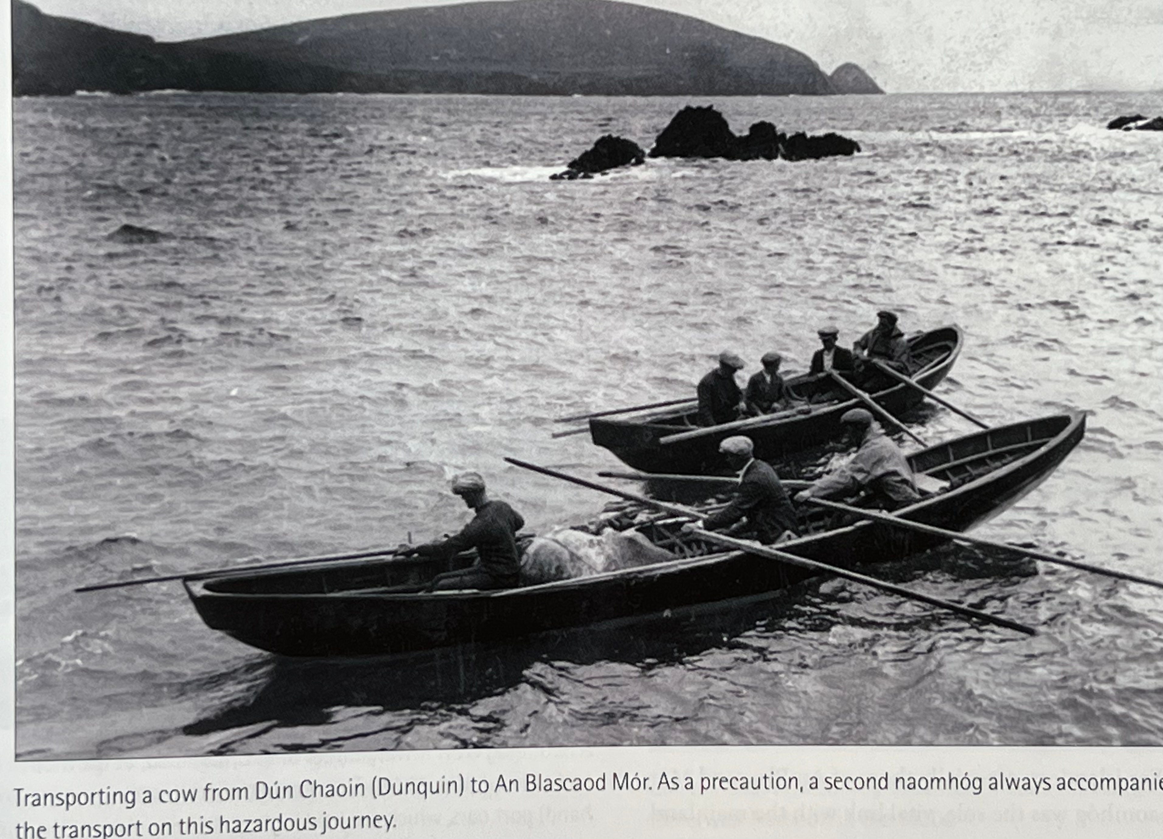 Love Those Traditional Boats of Ireland