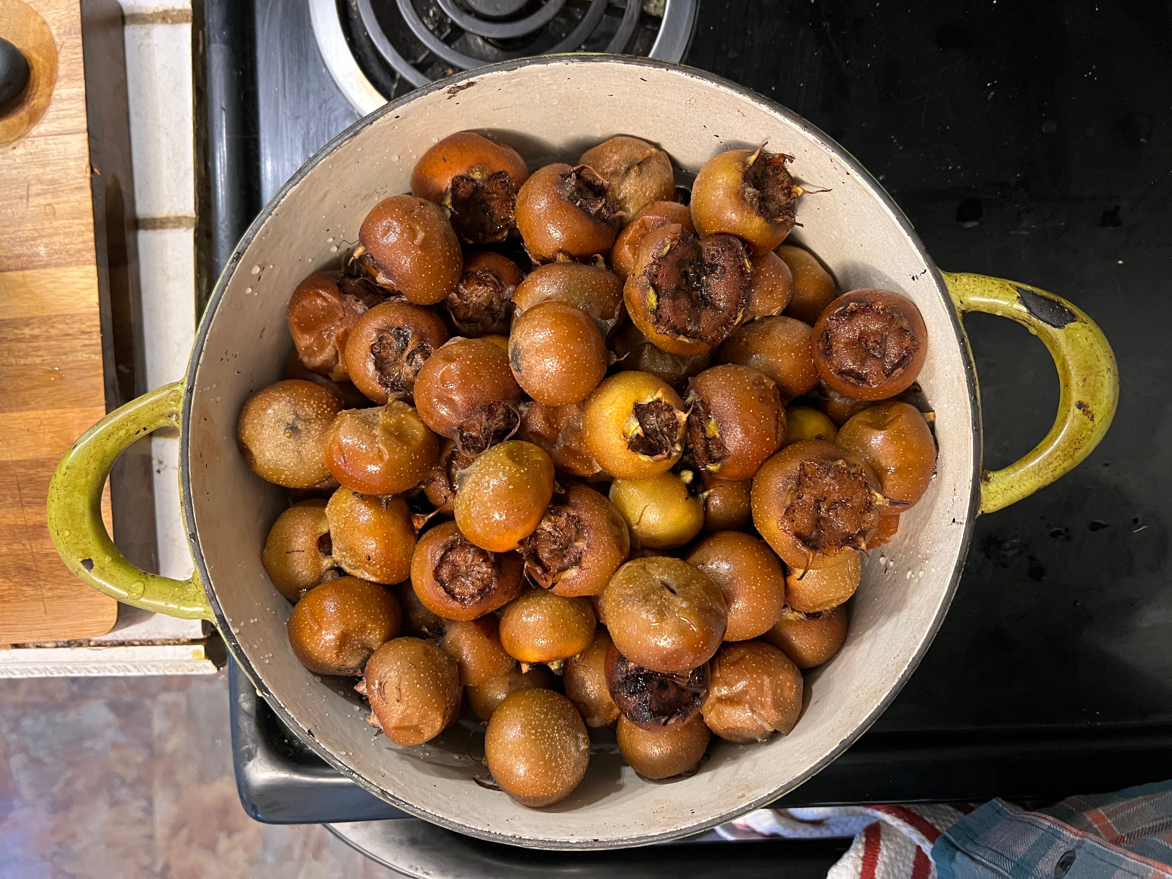 15. What do you do with a medlar? - by Jonathan Kauffman