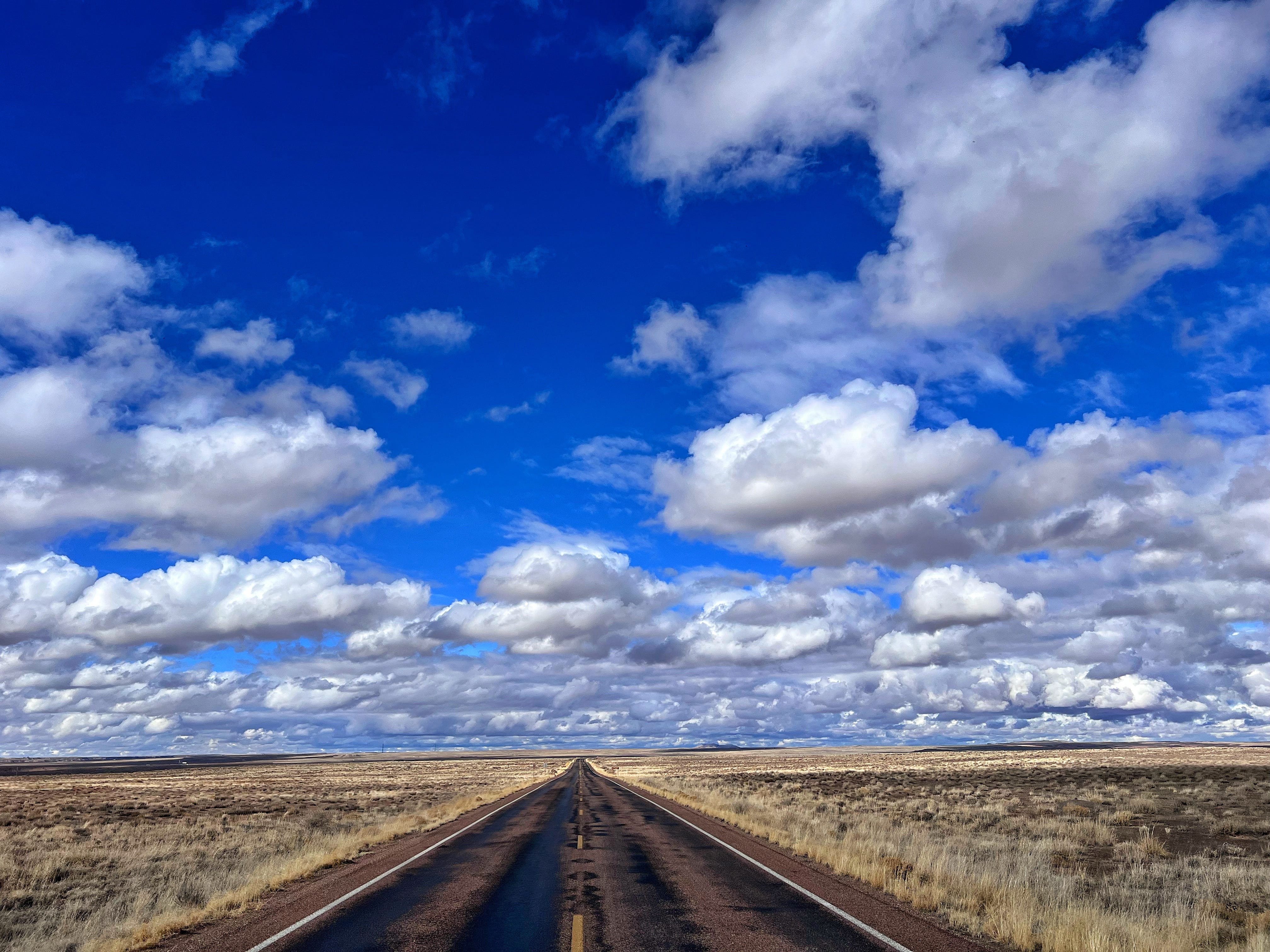 'Mudded Out' in the Four Corners - Tom Ryan, Author