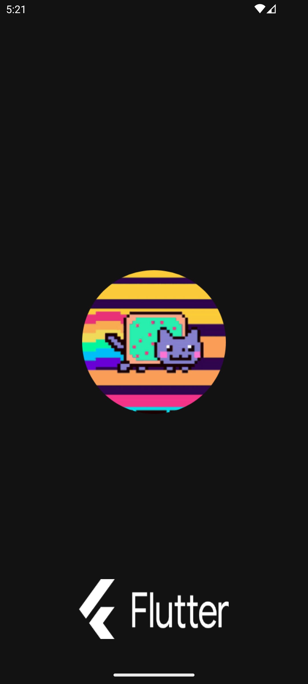 Flutter Splash Screen, Done Right! - Darko Bačić