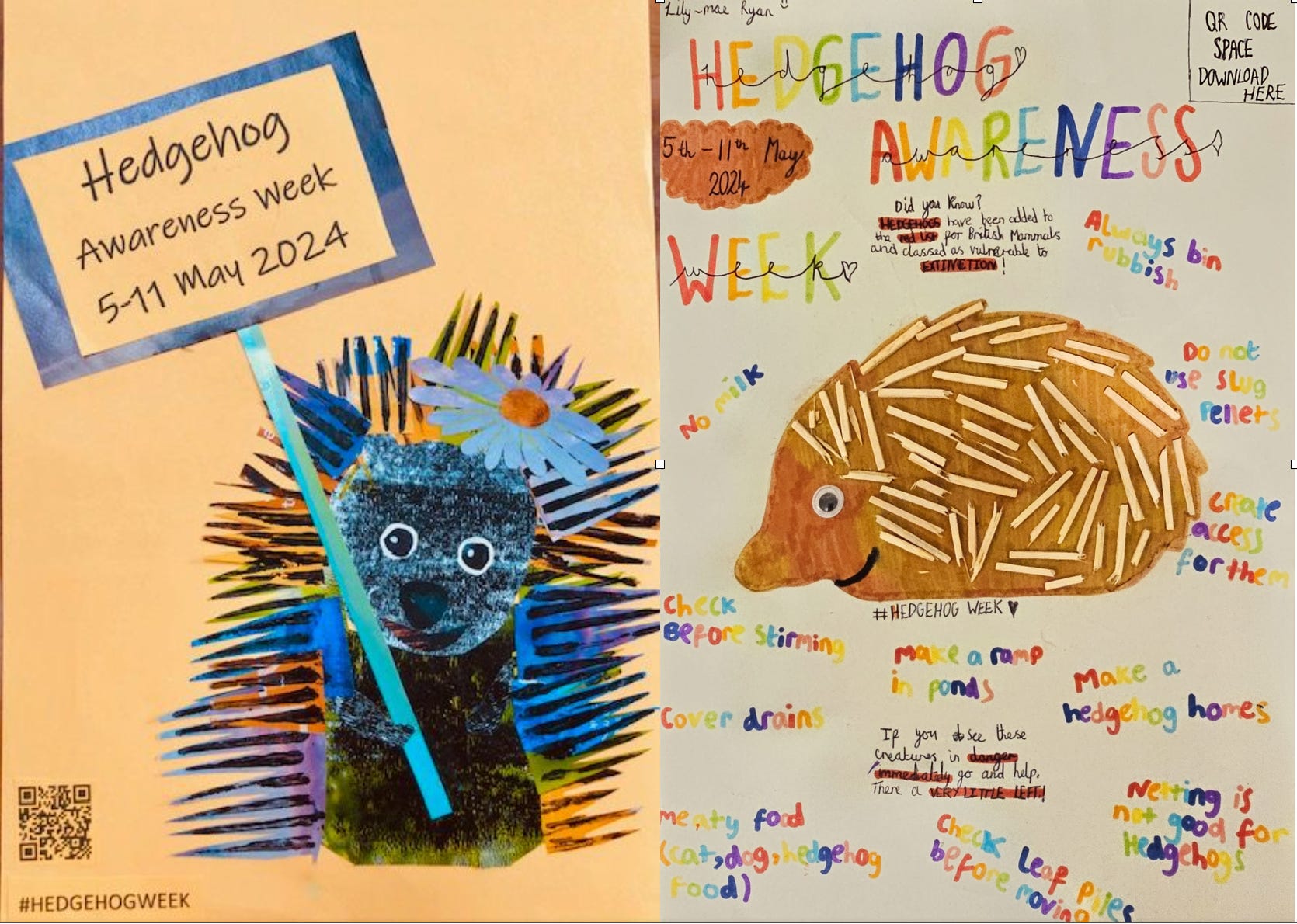 MORE HAW - by Hugh Warwick - Hugh’s Substack