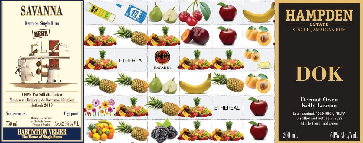 Esters, Volatile Compounds, and Congeners - What's the Difference?