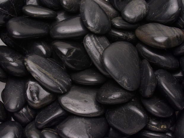 Danica Swanson | Substack