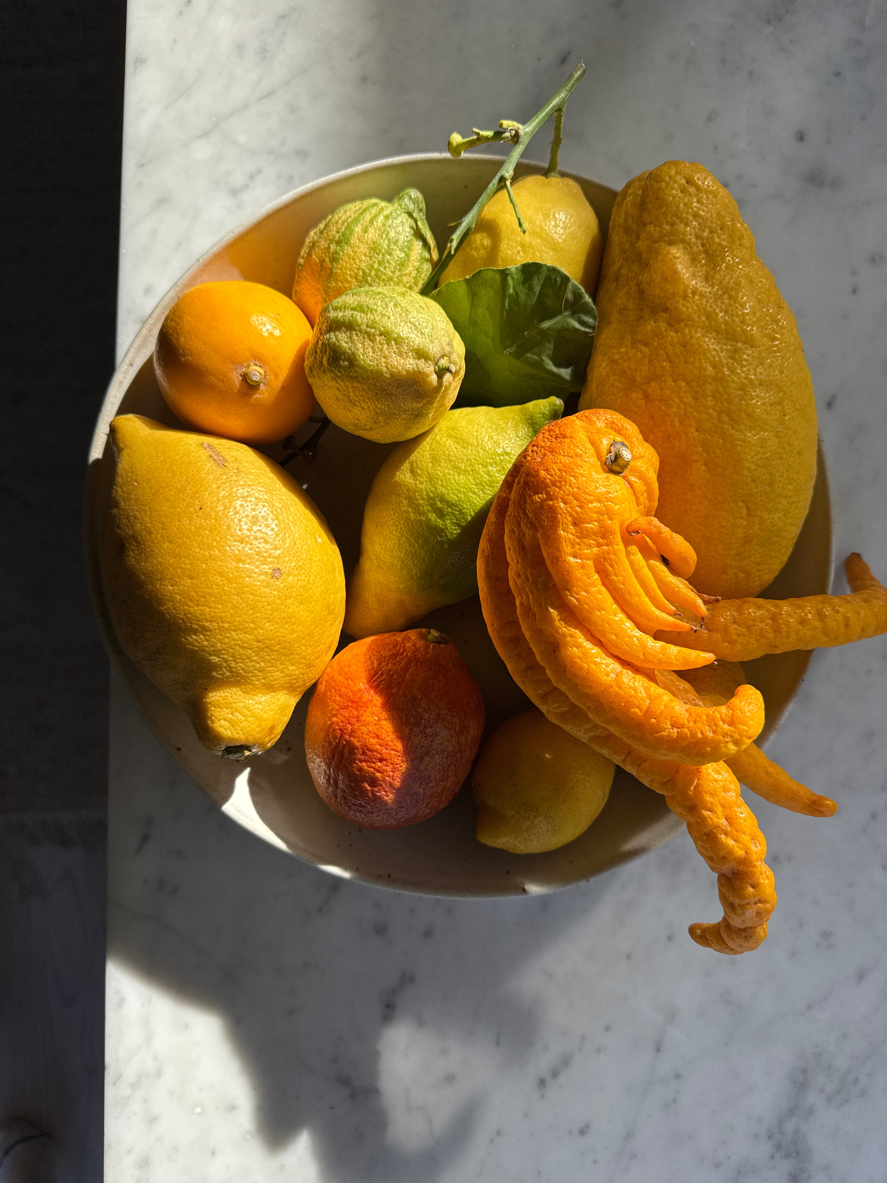 Everything I know about lemons - The Anna Jones Newsletter
