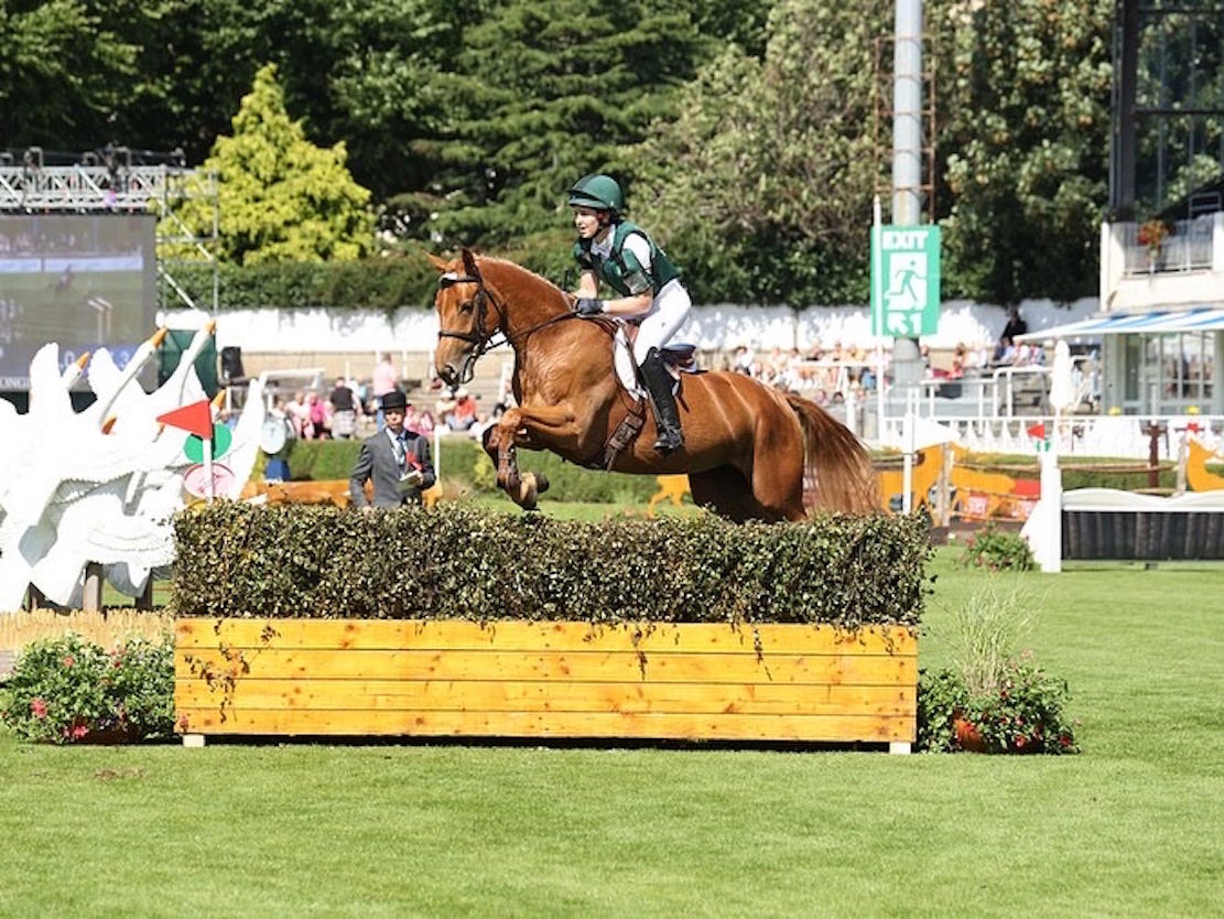 Equestrian hopes and dreams: Casey Webb - Horse&Field