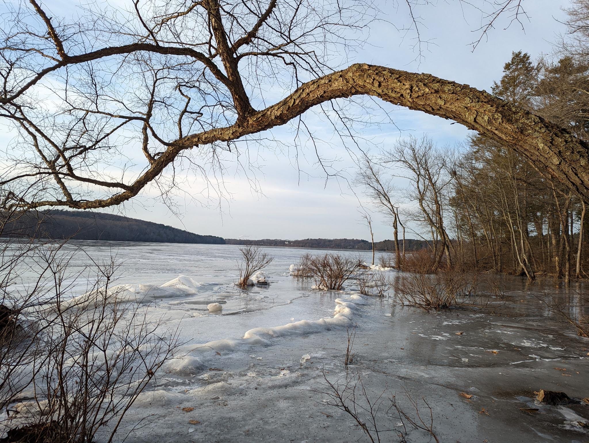 Laura Moore Pruett | Substack