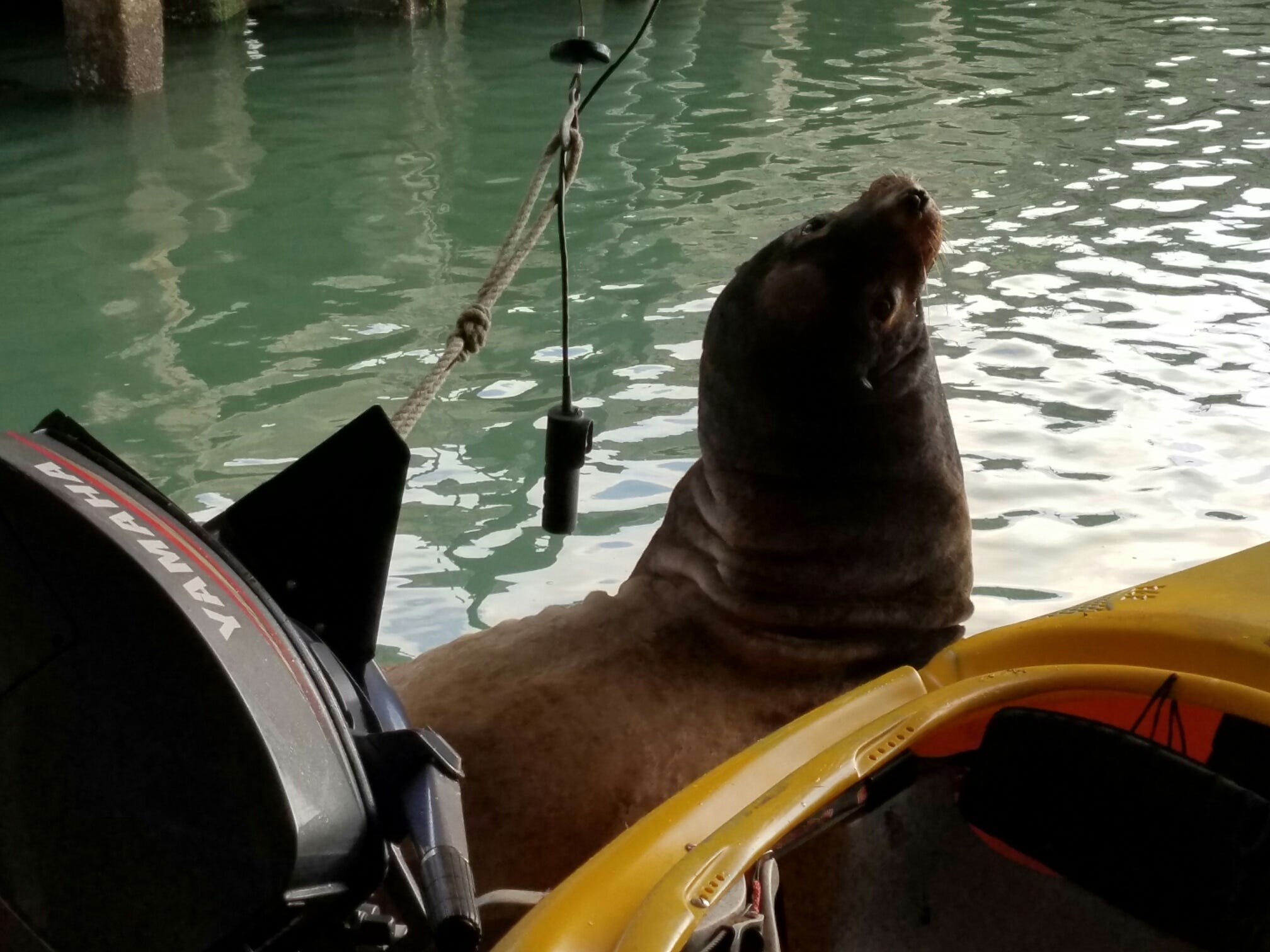 Finding the right fit - by Gillian Morris - Supernuclear