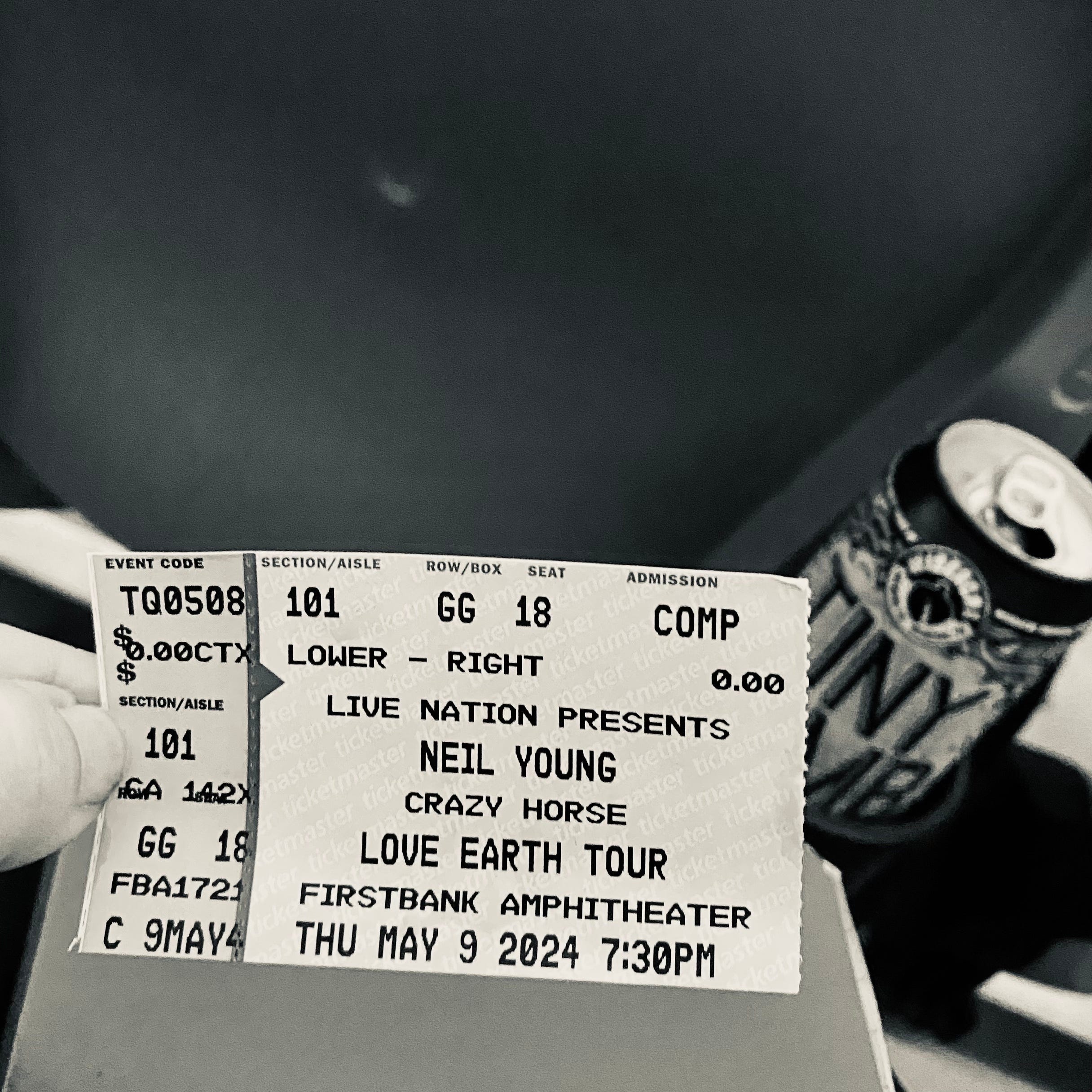 This Is Not My Neil Young Essay - by Susannah Felts