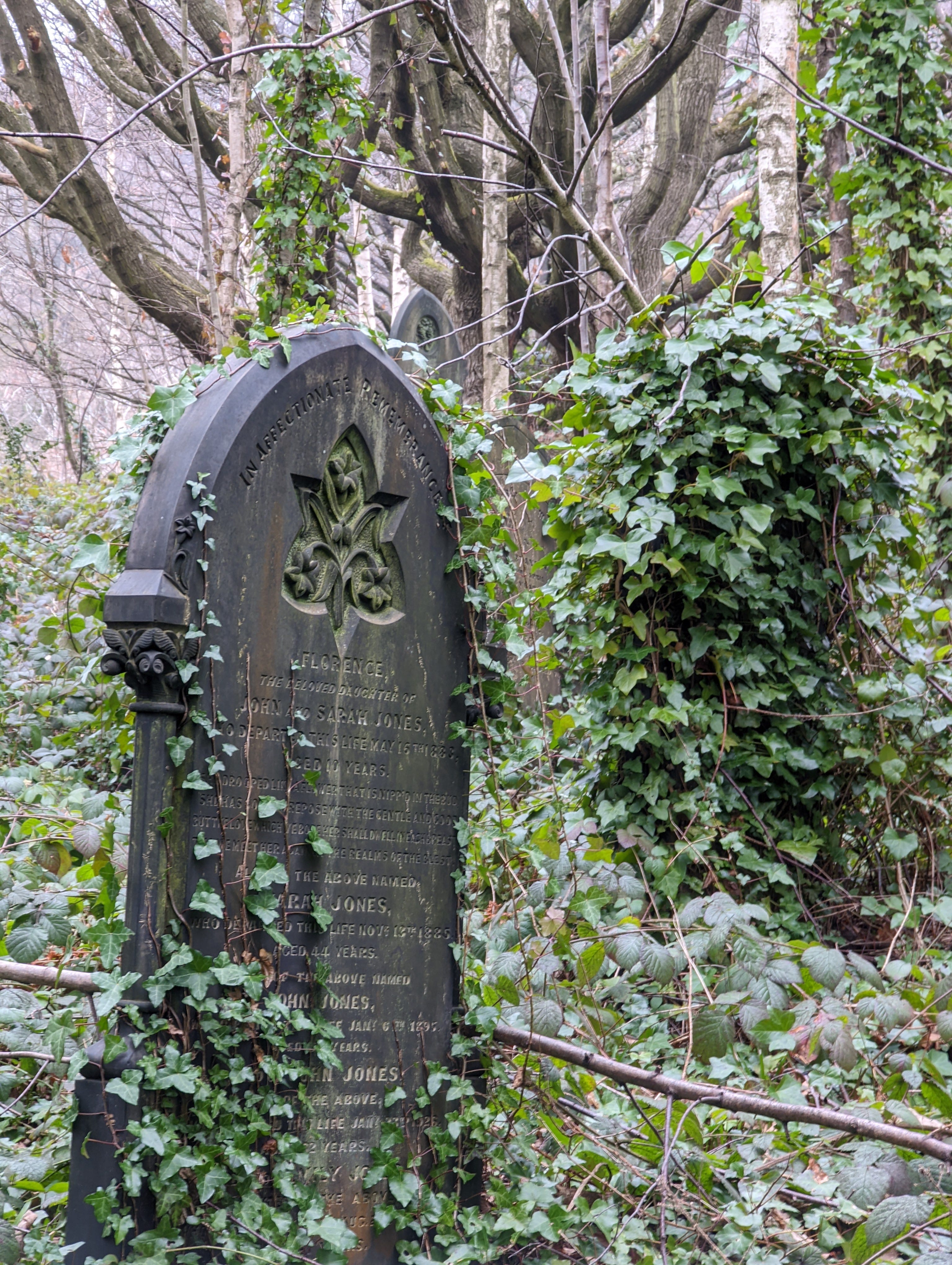 Highlights of Heritage, Love Sheffield - by Brian Mosley