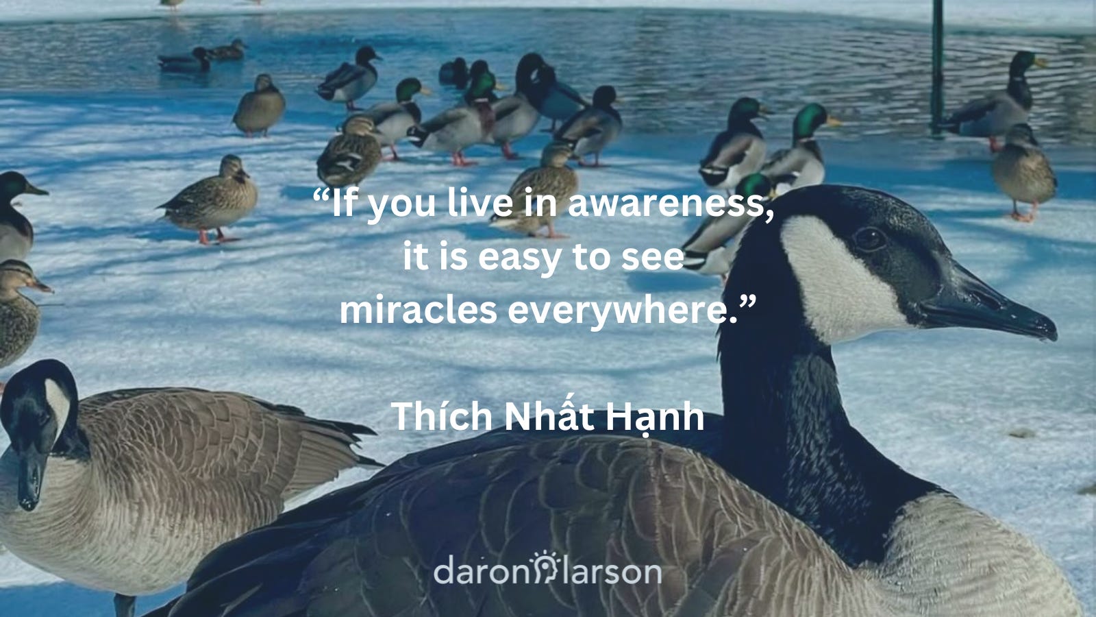 Listen, Look, and Feel - by Daron Larson