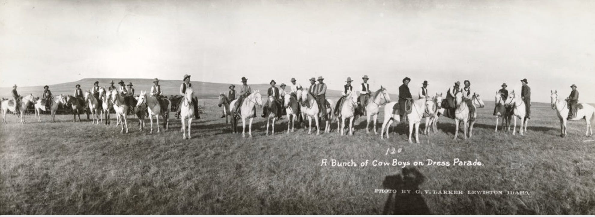 Yellowstoned - by Garrett Bucks - The White Pages