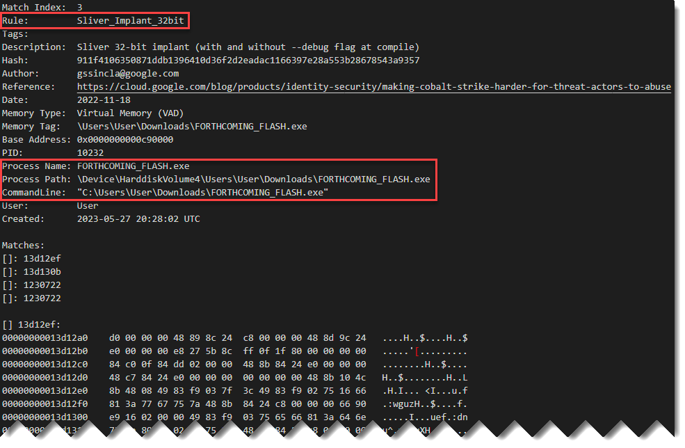 VMware Memory Analysis with MemProcFS - by Eric Capuano