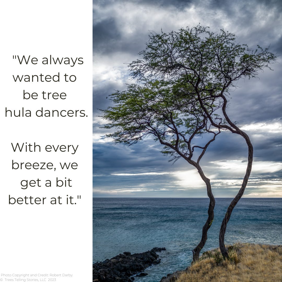 Dancing Trees - The Trees Telling Stories Substack