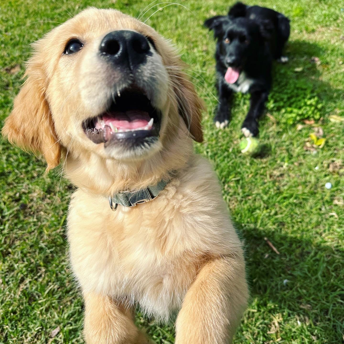 News from my desk - Bookish with Jodi Gibson