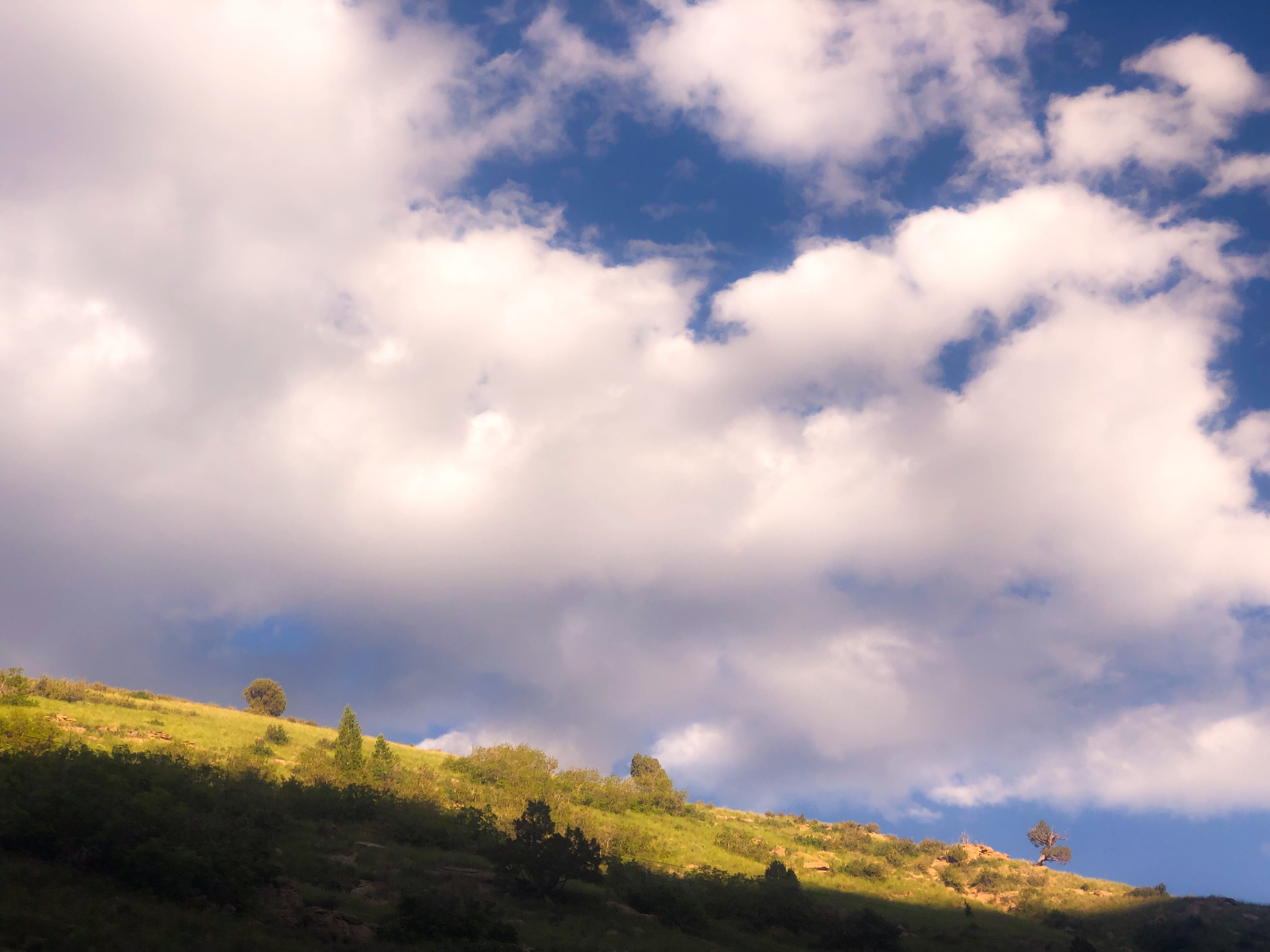 Expanded Photo Gallery - by Maxwell Pociask - Heartland