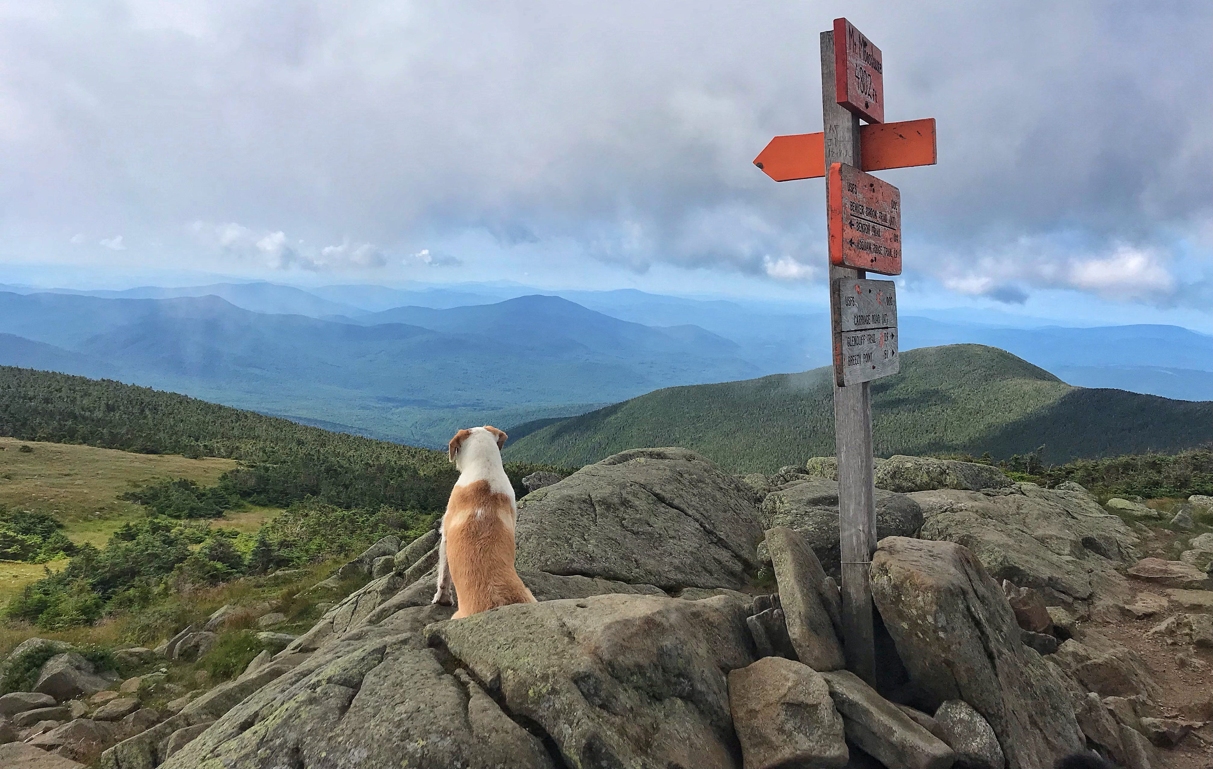 A Presidential Wannabe Asks to Hike with Us