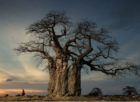 Boredom is a Cancer in the Body of Nature - by Sam Alaimo