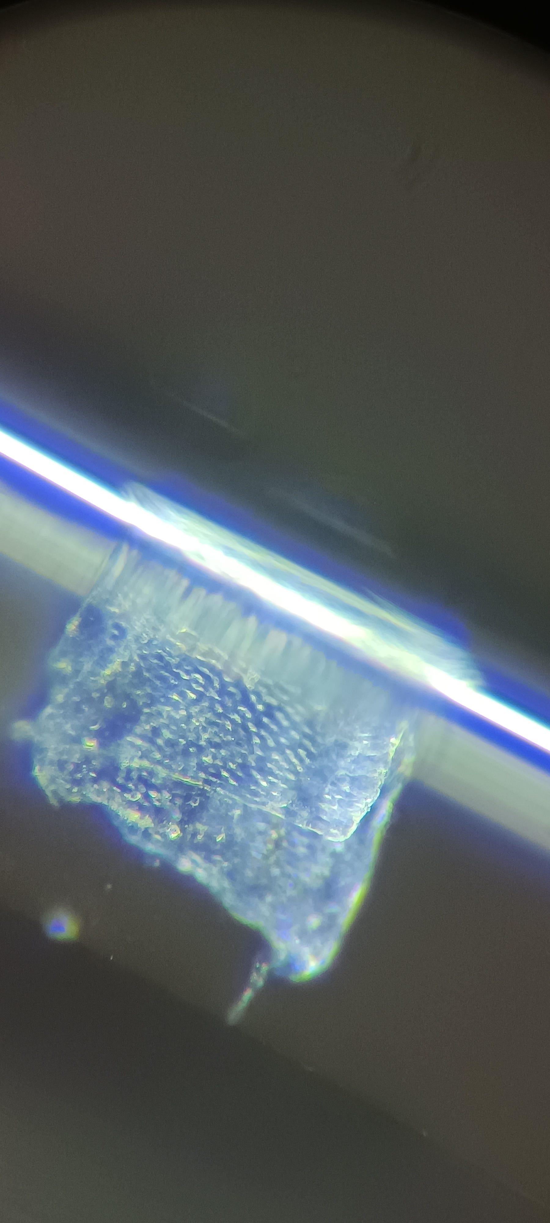 A chip docking in contact lens solution, plus a bit of a Kiwi country ...