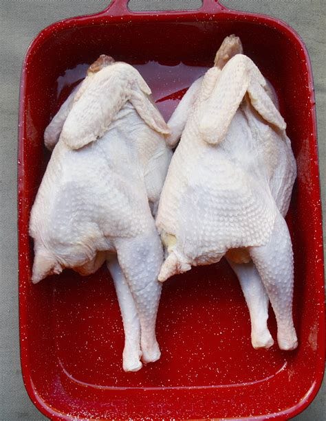 Chicken Dispatching Workshop - ONLY ONE SPOT LEFT!