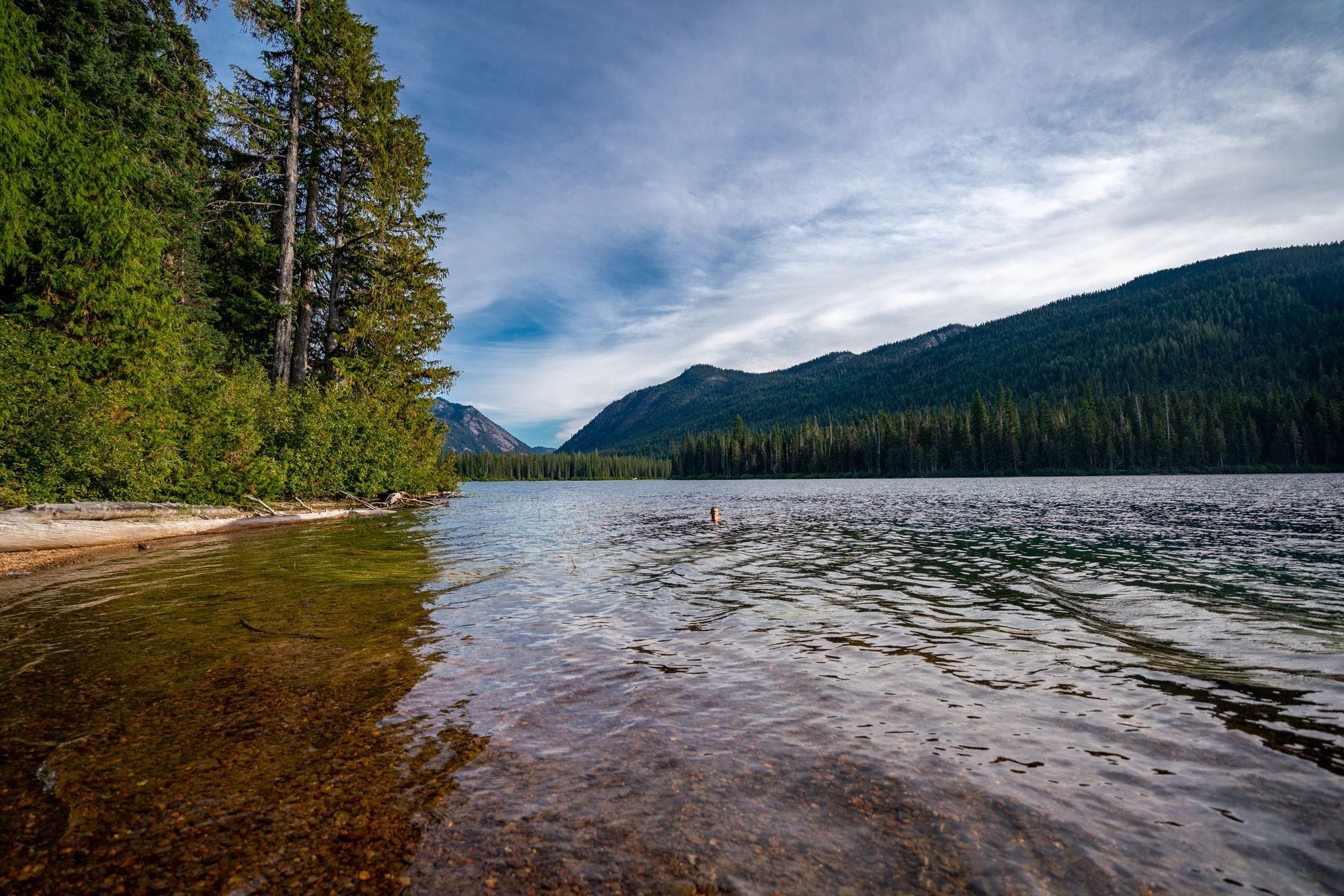 Why Large Companies are Inefficient, and Growth is Expensive