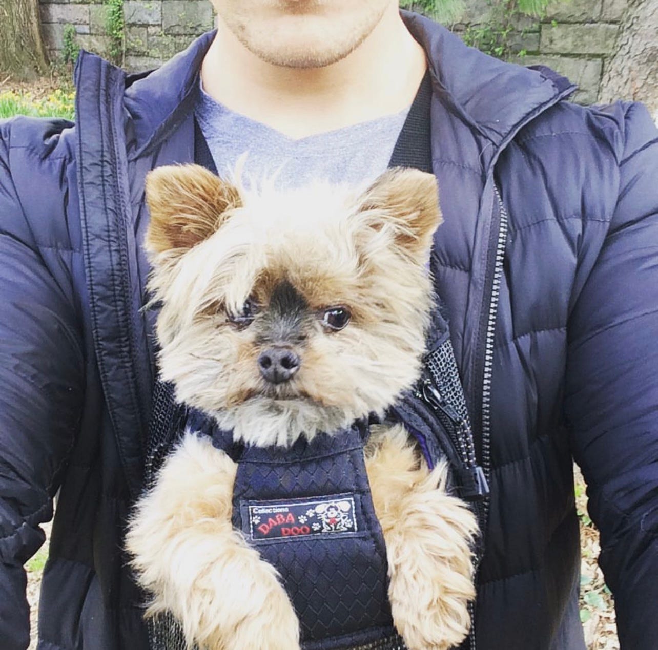 Tales From Ghislaine Maxwell's Swedish Dog Walker