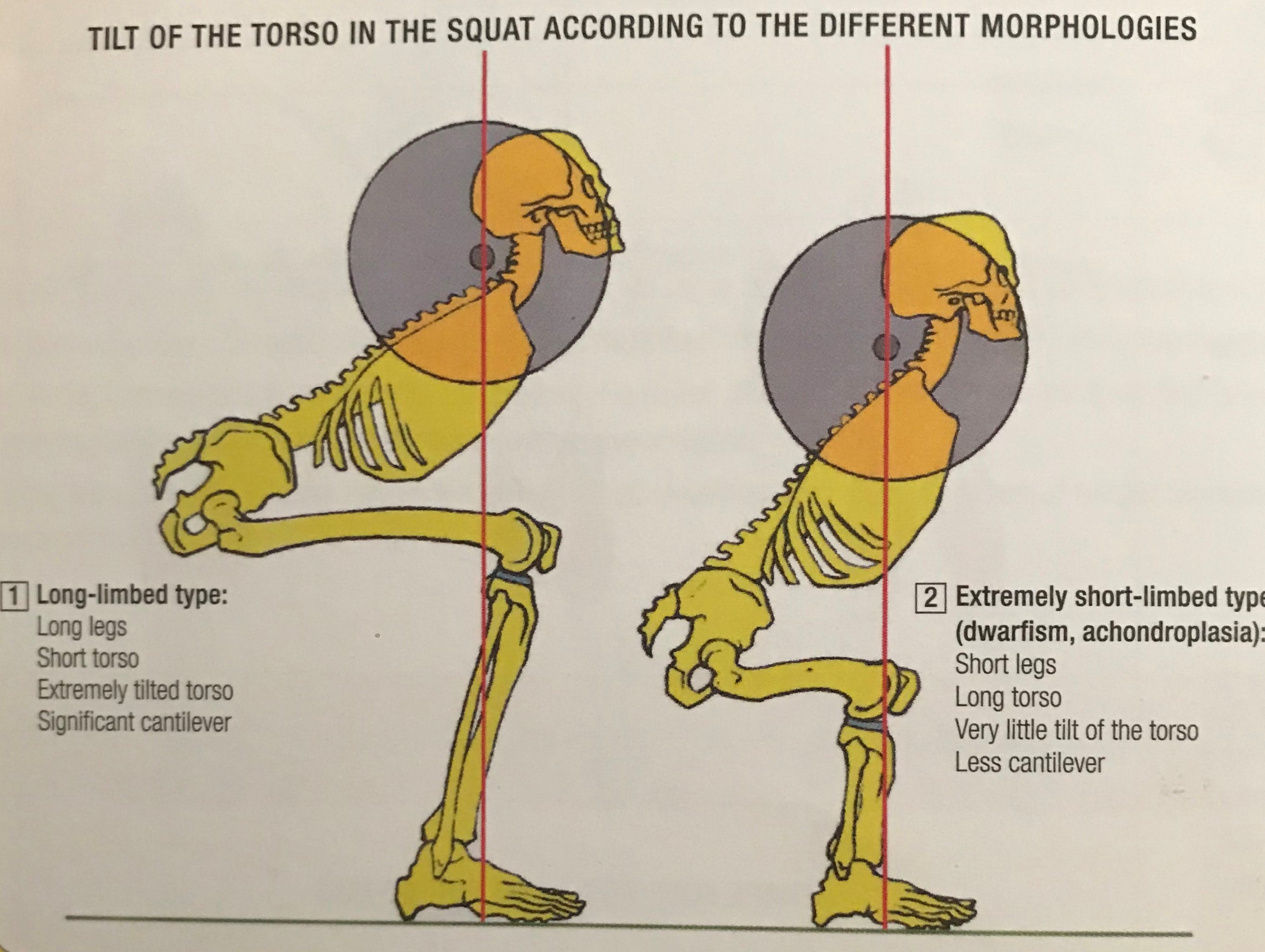 Squats and Sprints - by Mat Clark - The Art of Training