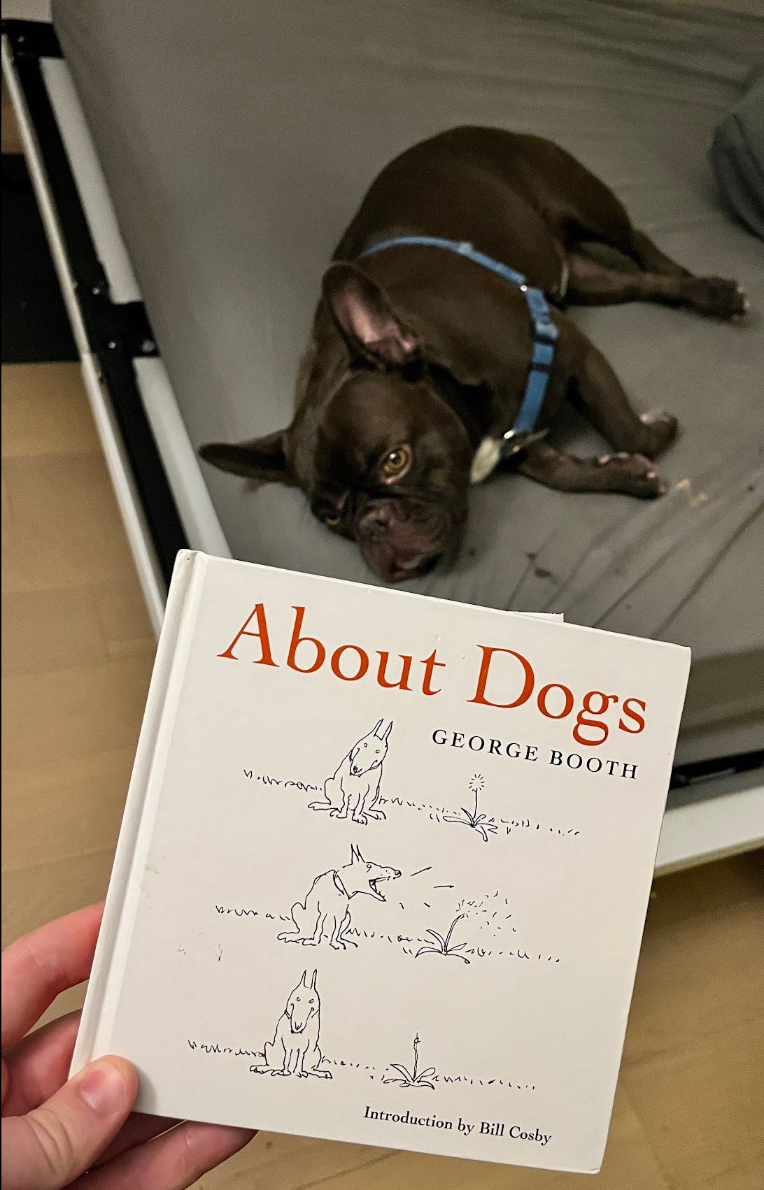 #11: George Booth - by Jason Chatfield - New York Cartoons