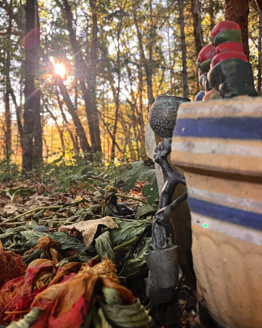 Motu - by Carole - Pea Ridge Post