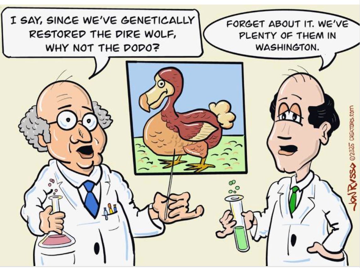 Sunday Strip: Penguin for President. Robert W. Malone. | Strona ...