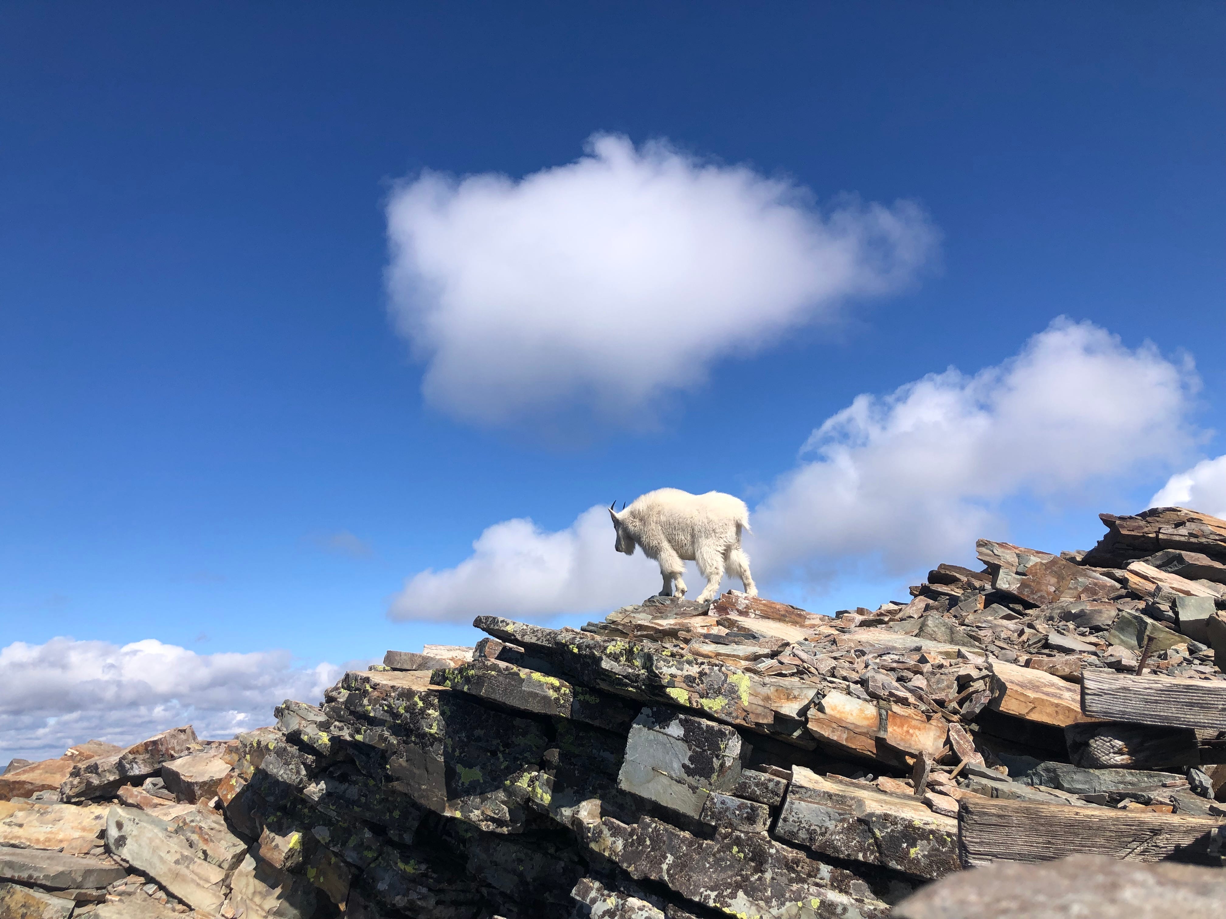 Peter Stromberg | Substack