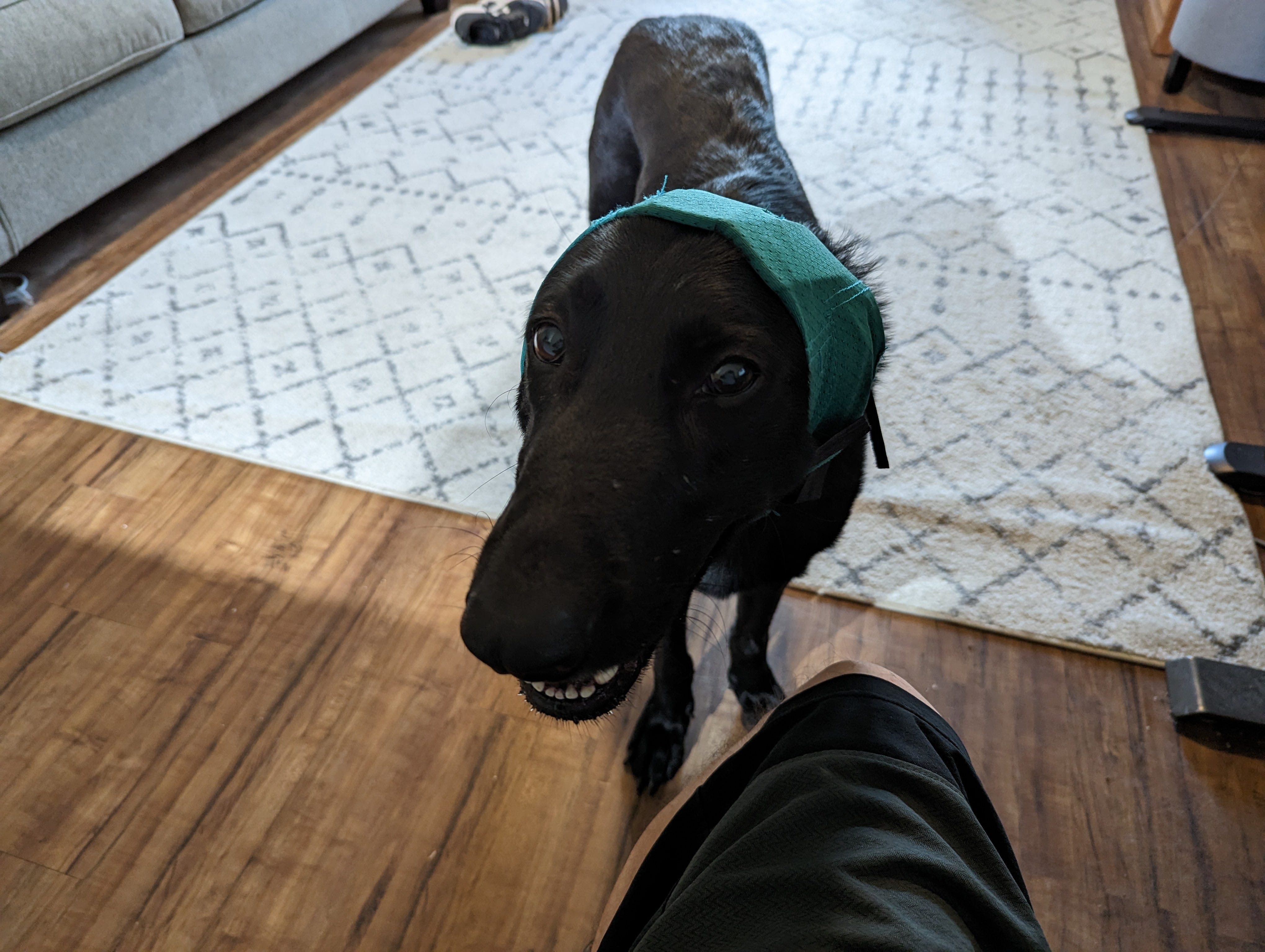 Low Energy Day - by Patrick Jordan - Tech & Nonsense