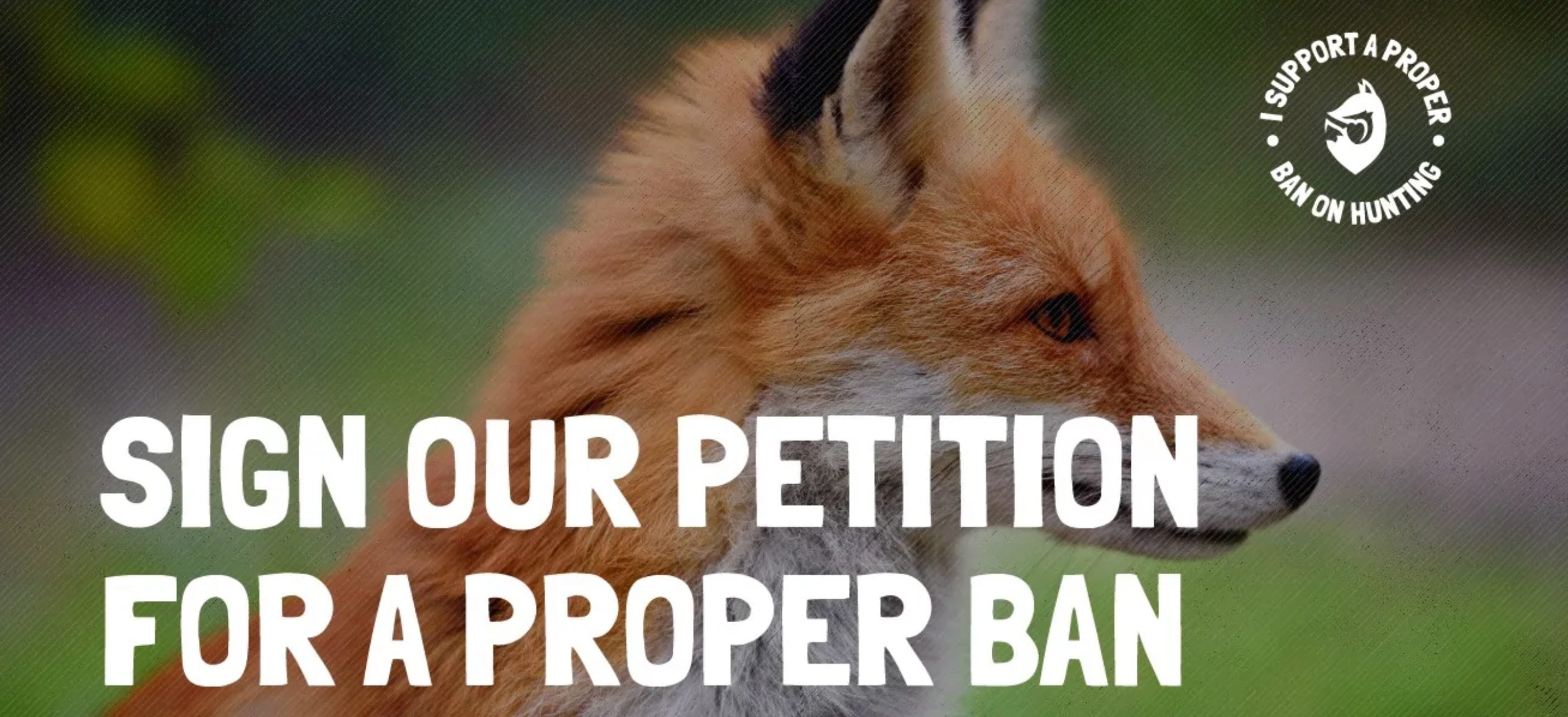 Cub hunting is a stain on the UK and it MUST end