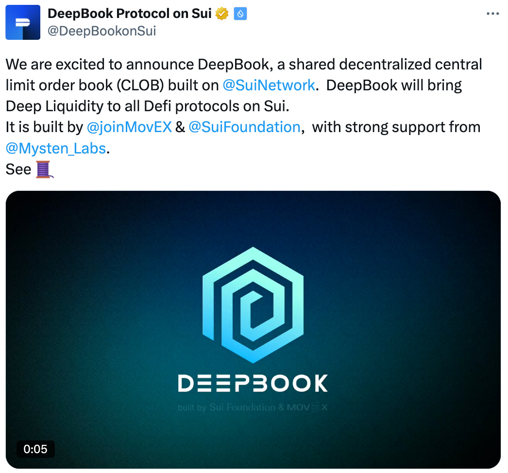 2024: The Year Sui Took Off, Laying the Groundwork To Dominate This Space