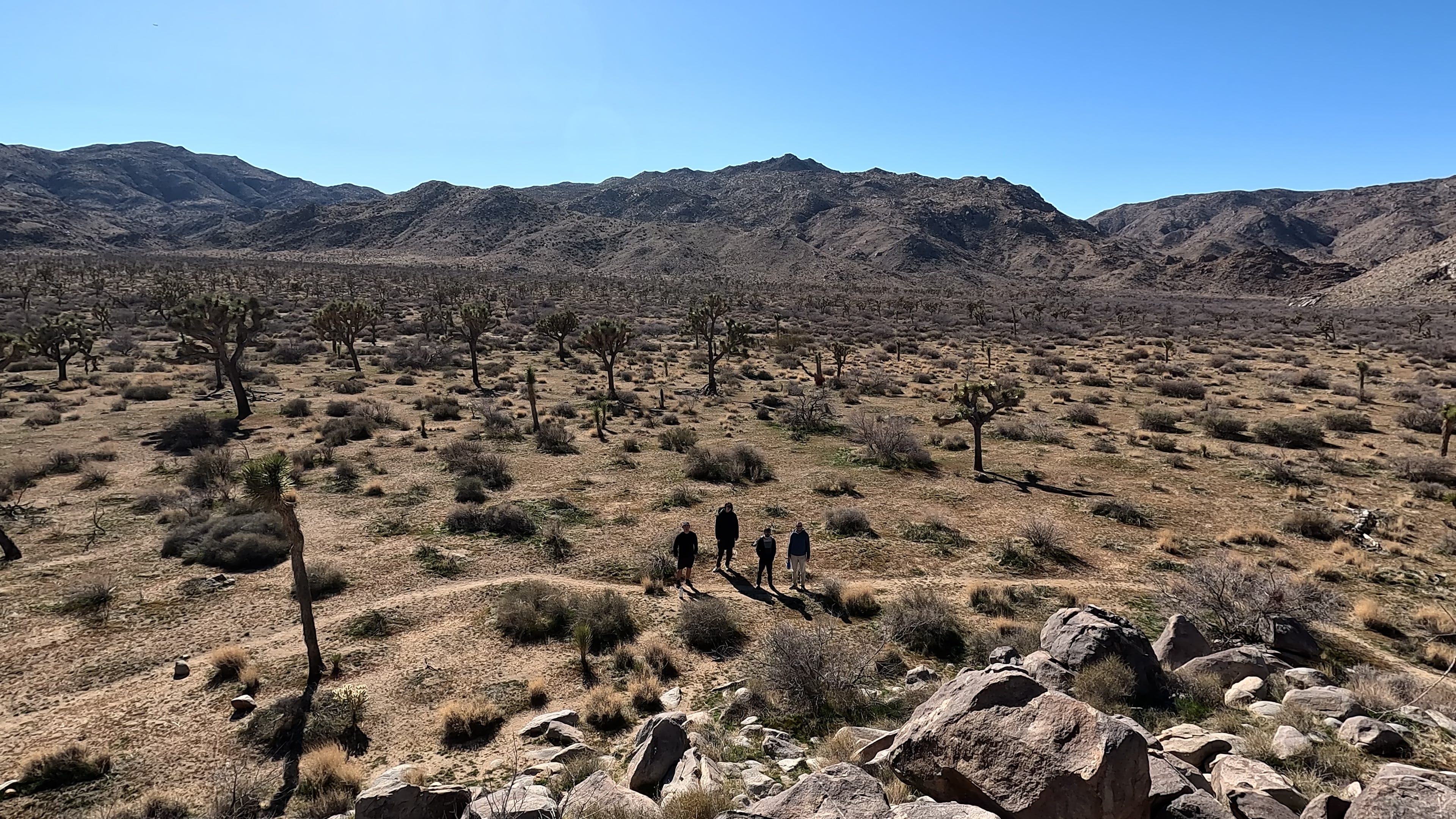 Samuelson's Bizarre Rocks - by Aaron Rickel Jones